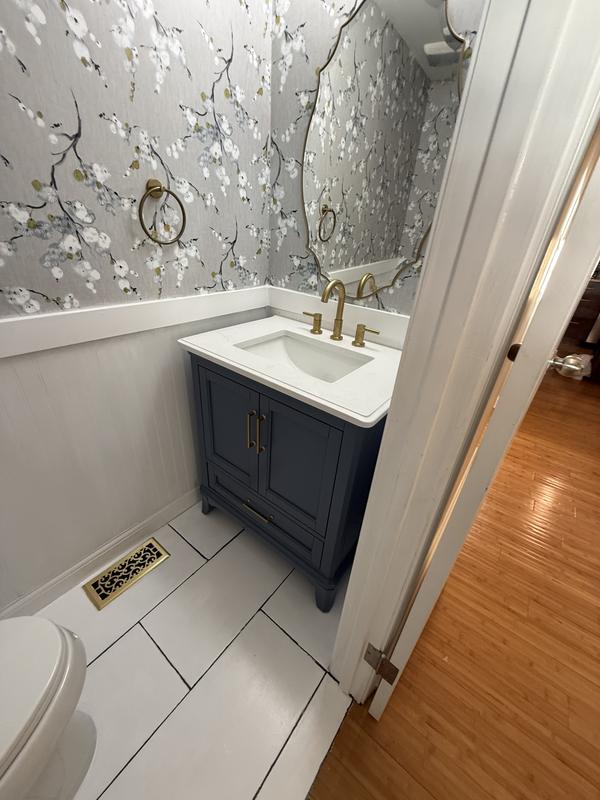 DELUXE LIVING Rawsonville 43-in Blue Undermount Single Sink Bathroom ...