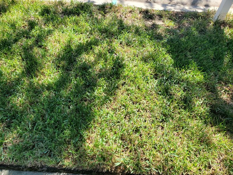 Sta-Green Performance Max 43.2-lb 14400-sq ft 30-0-3 All-purpose ...