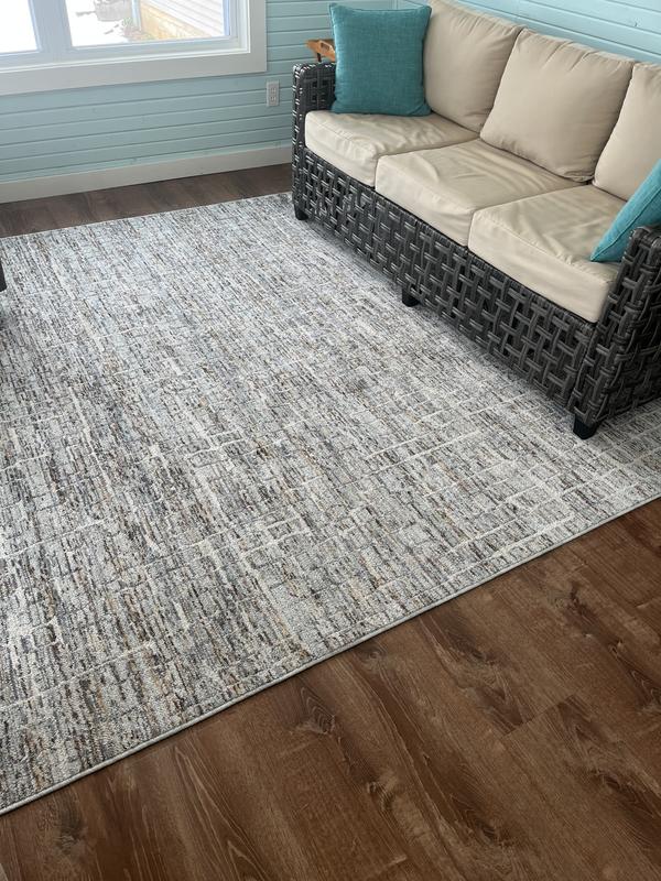 allen + roth Damaris 2 x 3 (ft) Loomed Multi Rectangular Indoor Pet ...