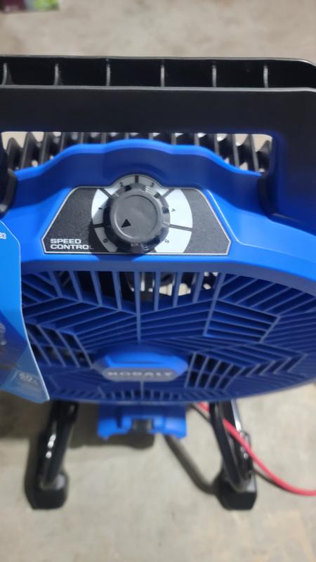Kobalt 14-in 40-Volt 5-Speed High Velocity Indoor/Outdoor Blue Pedestal ...