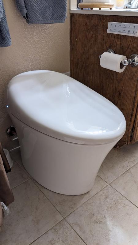 Project Source Bidet Toilet White Single Elongated Standard Height ...