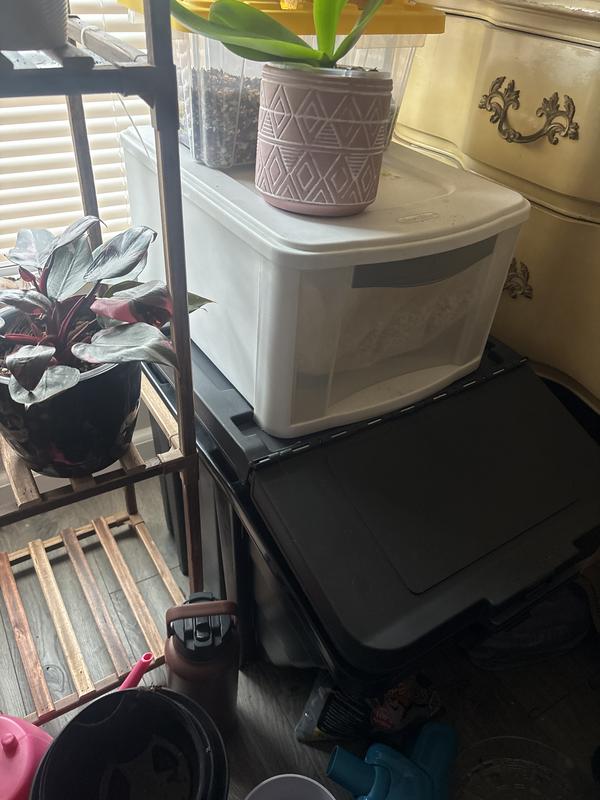 Shop Project Source (4-Pack) Project Source Medium 16 -Gallons ( 64 ...