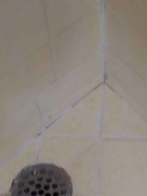 Miracle Sealants Acid Acidic Cleaner (32-fl oz) HDAC6QT at Lowes.com