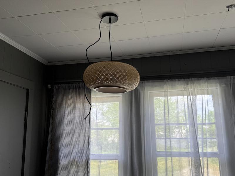 Parrot Uncle 1 -Light Black Farmhouse Bamboo Drum Medium Hanging ...
