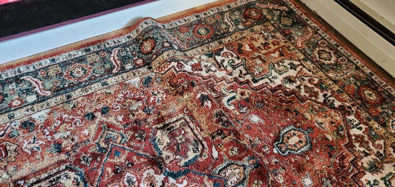 allen + roth with STAINMASTER Jezebel Performance 5 x 8 (ft) Loomed ...