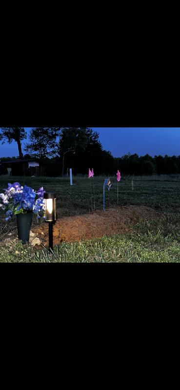 Shop Scotts Quick Lawn Fix & Finish Collection: Seed, Soil & Mulch for ...