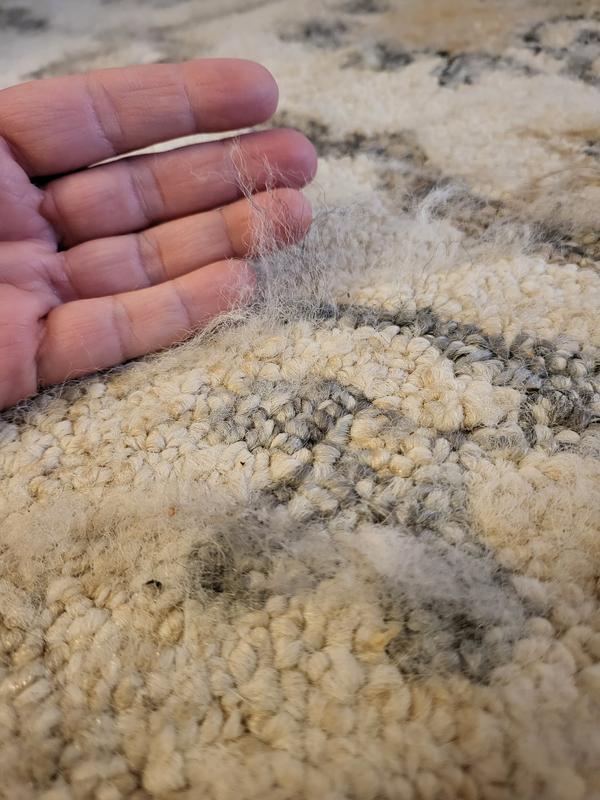 allen + roth with STAINMASTER Eleanor 8 x 10 (ft) Hooked Tonal Grey ...