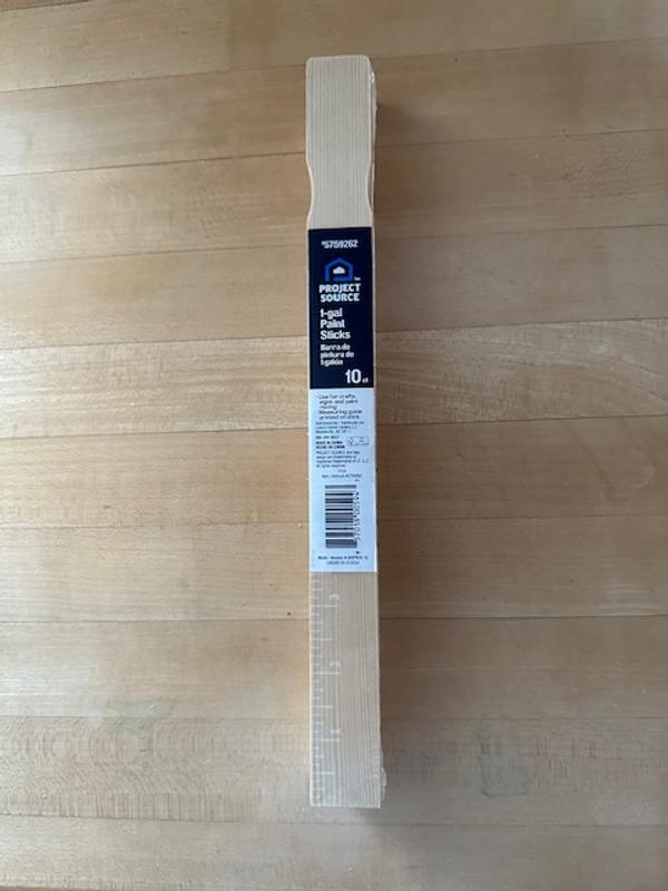 Project Source 1 Gal Paint Stick 10 Pack LWSPROS-10 at Lowes.com