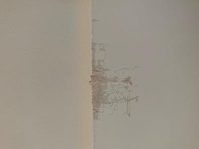 JELD-WEN 36-in x 80-in Colony Hollow Core 2-panel Left Hand Molded ...