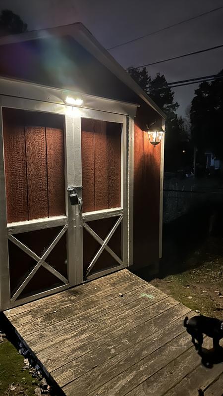 allen + roth Solar Wall Lantern 1-Light 14.37-in H Matte Black Solar ...