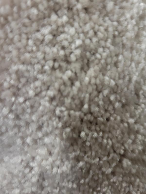 STAINMASTER Blue Diamonds III 15 Ft Nutria Brown 73.1-oz sq yard ...