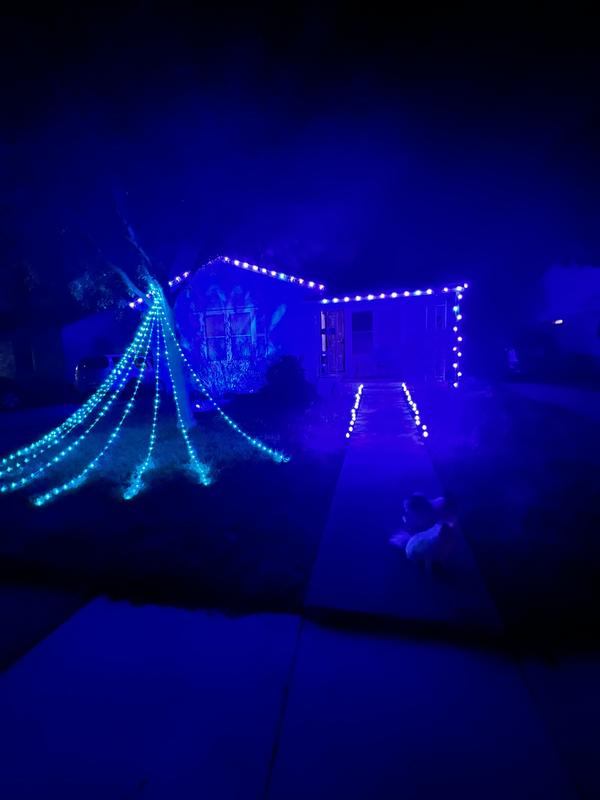 Gemmy 180-Count 9-ft Sparkling Multicolor LED Plug-In Christmas String ...