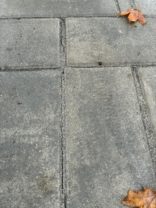 Accel Dust Preventing Paver Polymeric Sand 40-lb Shadow Grey Polymeric ...