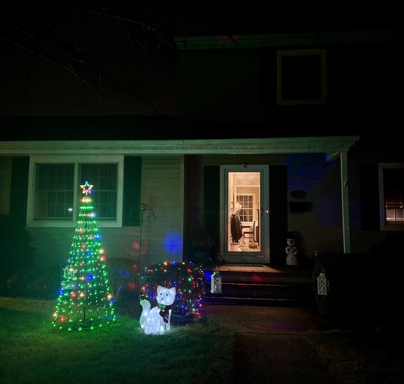 Shop Holiday Living Christmas Companions Collection at Lowes.com