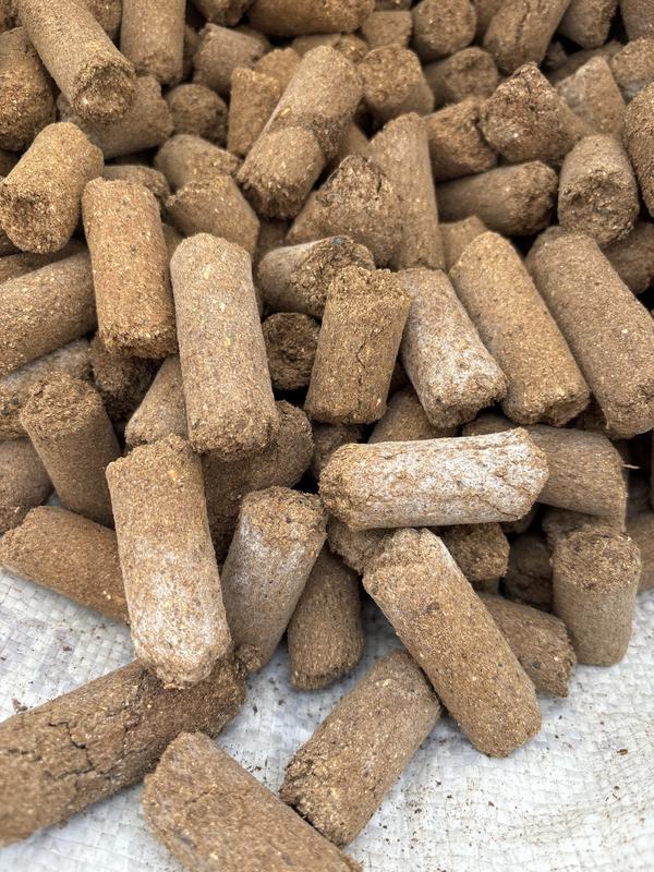 Farm Eats 20% Cattle Cube Feed 50-lb Bag 3009808-406 at Lowes.com