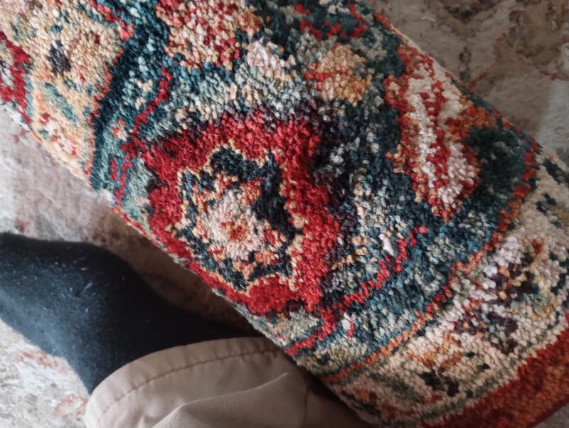 allen + roth with STAINMASTER Jezebel Performance 5 x 8 (ft) Loomed ...