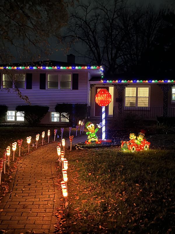 Disney 2.5-ft LED Donald Duck Elf Yard Decoration 883814 at Lowes.com