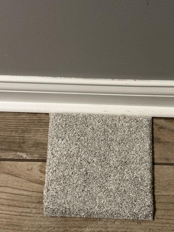 STAINMASTER PetProtect (Sample) 8-in x 8-in with LeakDefense Animal ...