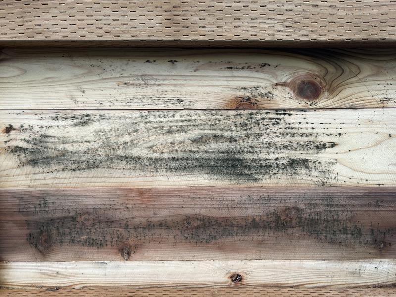 5/8-in x 5-1/2-in x 8-ft Cedar Flat-top Fence Picket in the Wood Fence ...