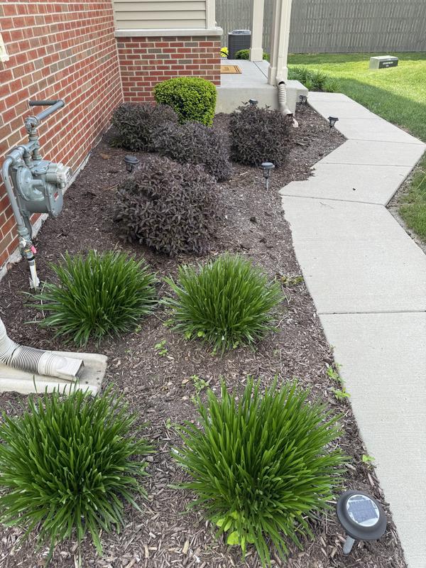 Kolor Scape 0.5-cu ft 18-lb Red Lava Rock (0.5- 3-in Rock Size ...