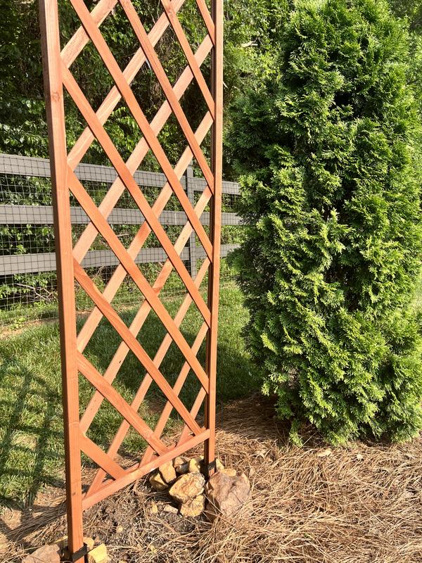 Stake It Durable Black ABS Trellis Support for Easy Installation and ...