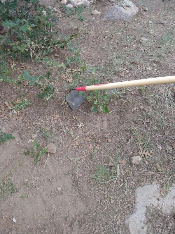 Razor-Back 60-in Wood-Handle Garden Hoe 71112 at Lowes.com