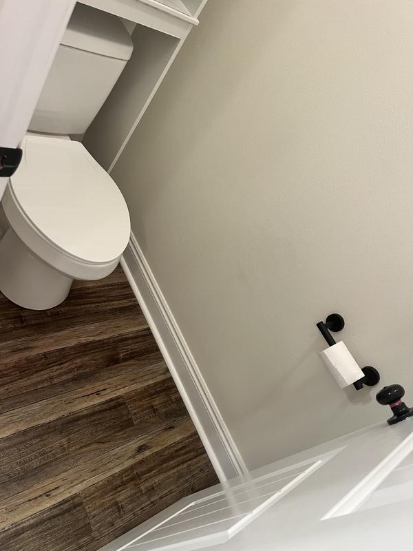 FURUISI 2-Piece Polished Chrome Decorative Bathroom Hardware Set with ...