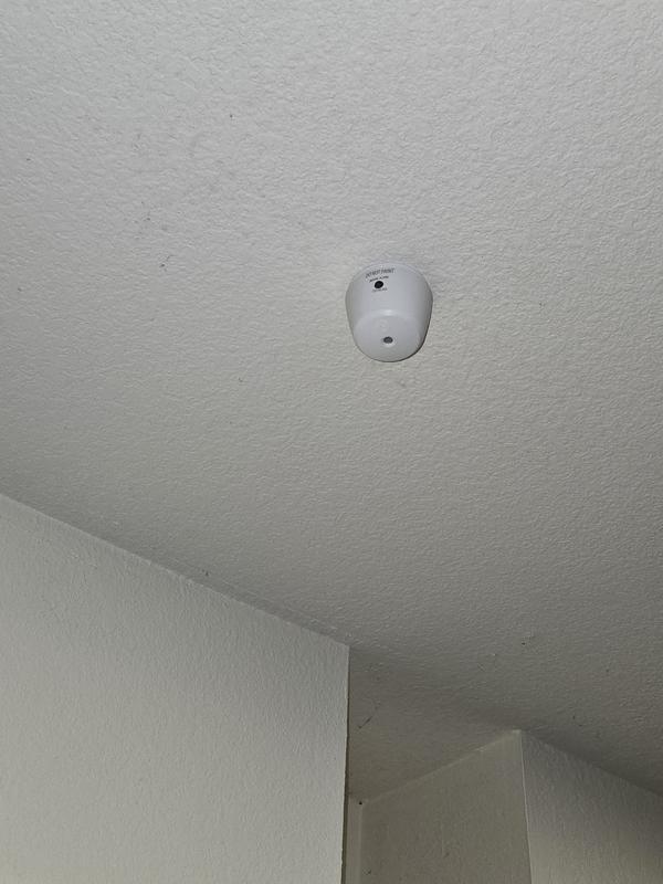 First Alert 10-Year Battery-operated Photoelectric Smoke Detector ...