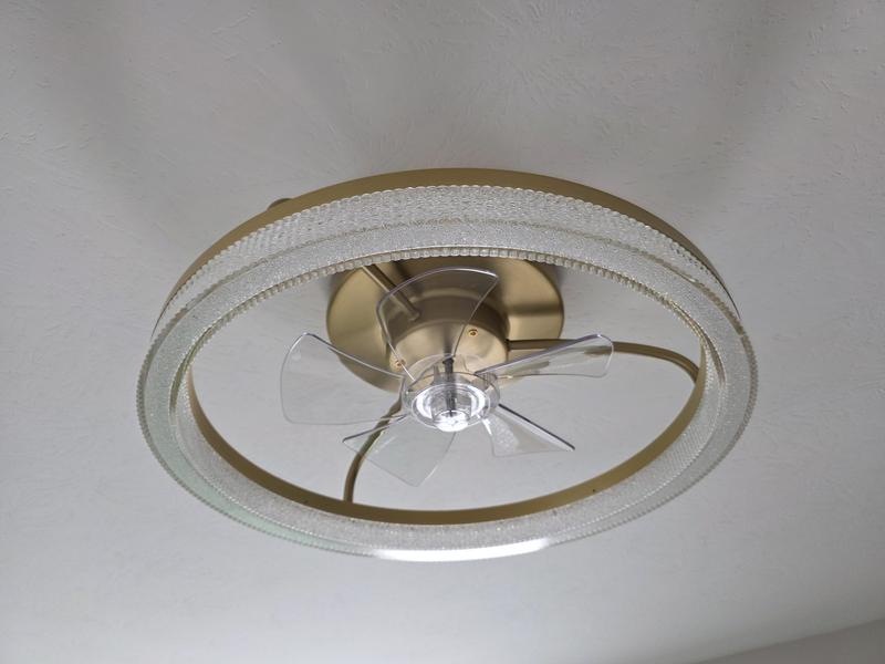 Harbor Breeze Brookshore 20-in Matte Black with Clear Blades Color ...