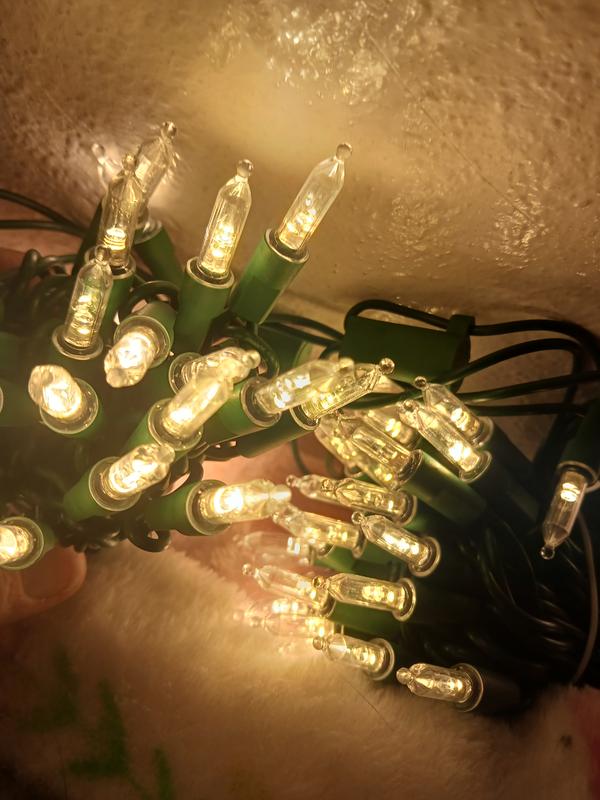 Holiday Living 100-count 24.77-ft Twinkling White LED String Christmas ...