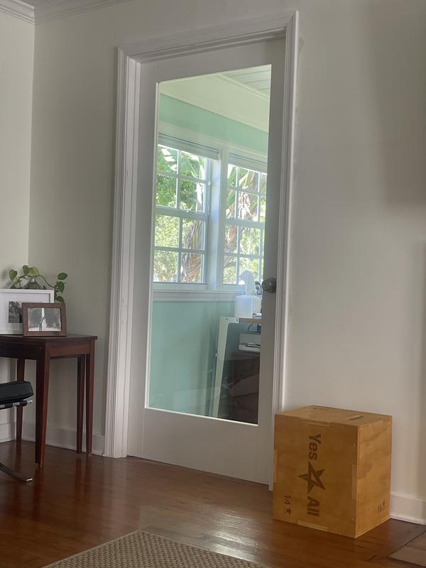 JELD-WEN 28-in x 96-in Primed Solid Core 1-panel Clear glass Right Hand ...
