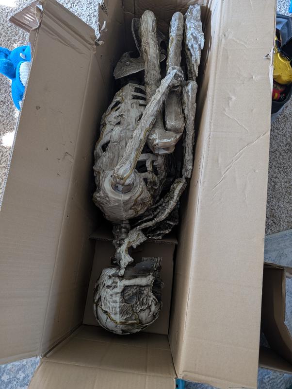 Haunted Living 5.6-ft Decayed Skeleton Statue in the Halloween Decor ...