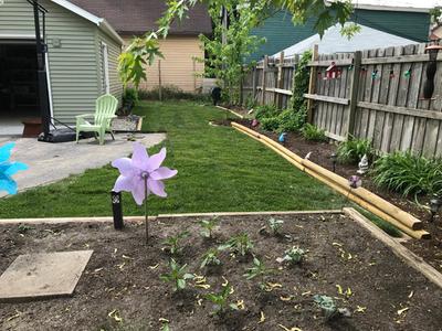 Harmony Outdoor Brands 500-sq ft Natural Bluegrass Sod Pallet ...