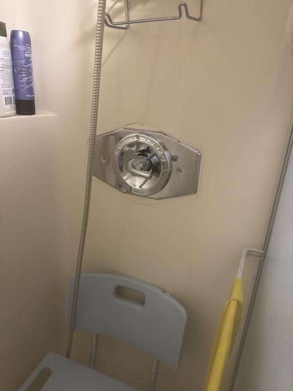 Delta Foundations Chrome 1-handle Single Function Round Shower Faucet ...