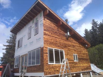 Crown 128-fl oz Slow to Dissolve Linseed Oil at Lowes.com