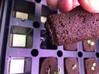 Root Farm Planting/Growing Accessory at Lowes.com