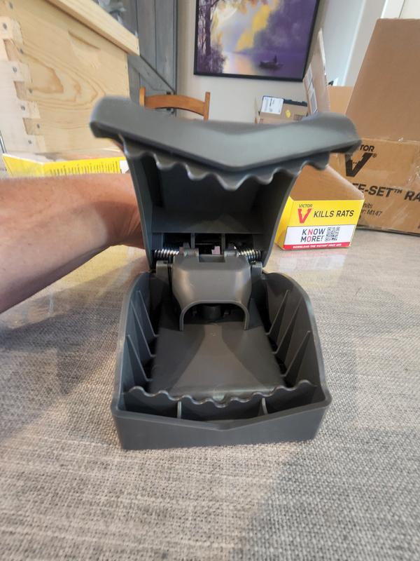 Victor Safe-Set Rat Traps M147 at Lowes.com