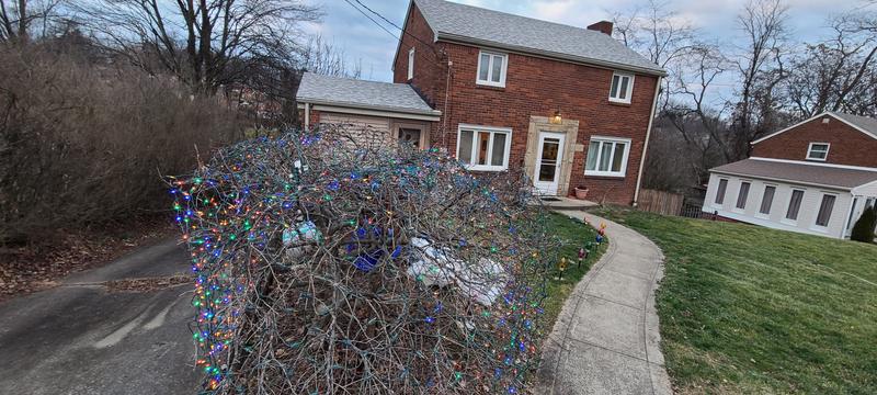 GE 300-Count ConstantON Multi-Color Mini Incandescent Net Christmas ...