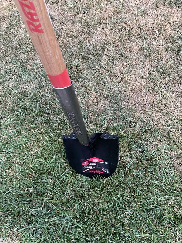 Razor-Back 48-in Wood Handle Digging Shovel 2593600 at Lowes.com