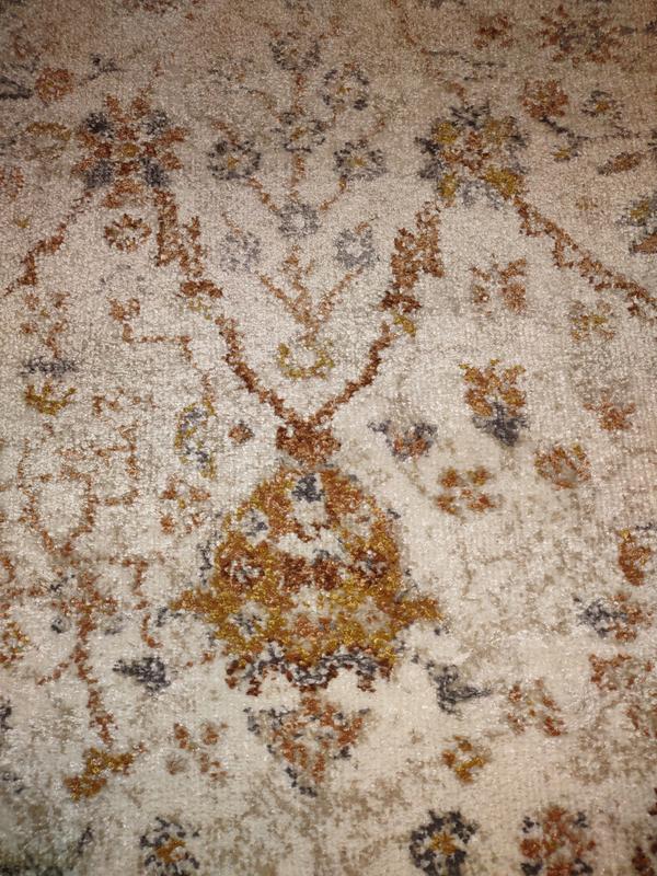 allen + roth with STAINMASTER Camille Border 8 X 10 (ft) Beige Indoor ...