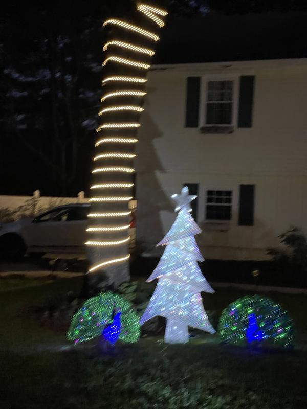 Holiday Living 24-in Freestanding Peacock Free standing decoration with ...