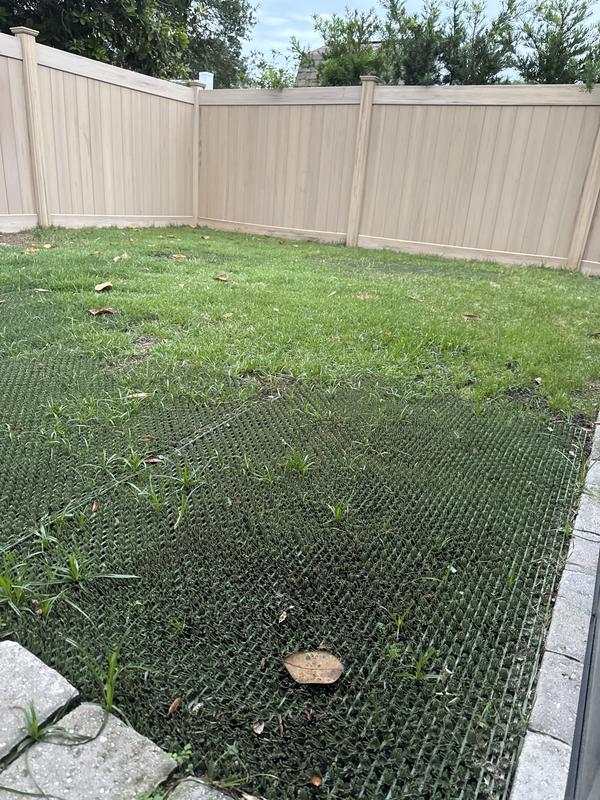DURAGRASS Artificial grass 3-ft Artificial Grass in the Artificial ...