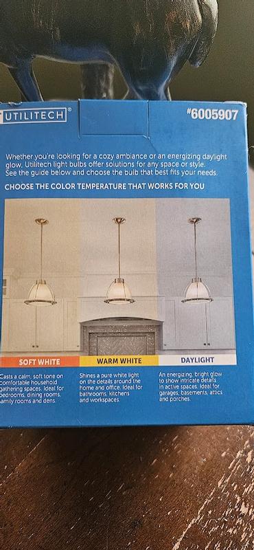 Utilitech 150 -Watt EQ A21 Daylight Screw bases Dimmable LED General purpose Light Bulb 4 -Pack ...