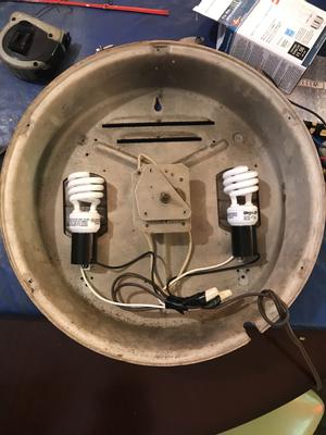 Hillman 75-Watt Plastic Keyless Lamp Socket, Black 427657 at Lowes.com