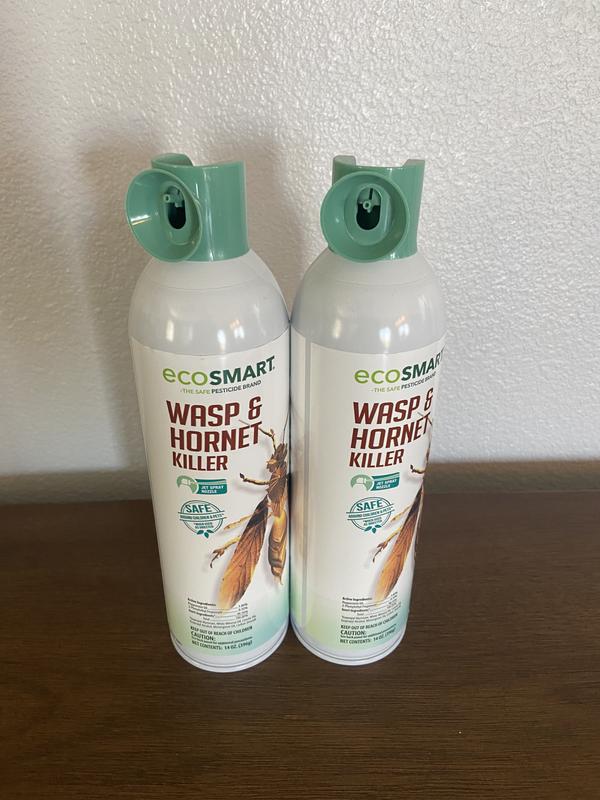 EcoSMART 14-fl oz Natural Insect Killer Aerosol (2-Pack) ECSM-33529 ...