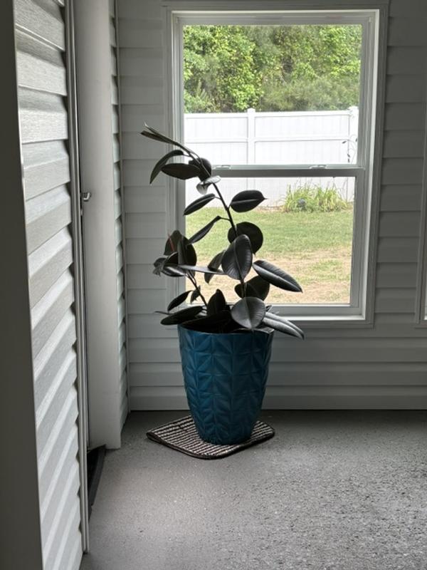 Shop allen + roth Coastal Blue Planter Collection at Lowes.com