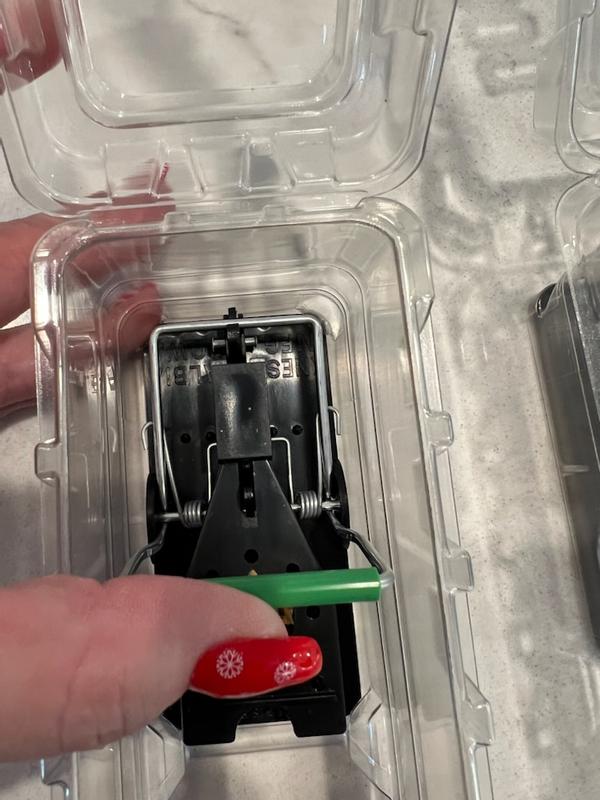 DoomBox Enclosed Tunnel Trap for Mice - Indoor/Outdoor Pest Control ...