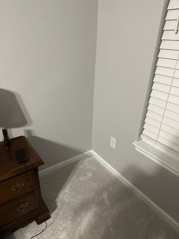 STAINMASTER Over The Moon I Sheer Bliss Gray 40-oz sq yard Solution ...