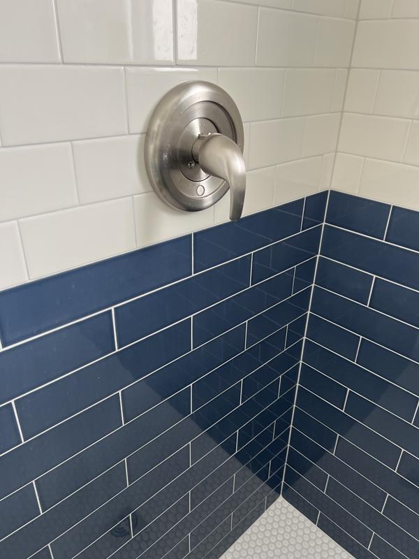 Danco Chrome 1-handle Bathtub and Shower Faucet 10001 at Lowes.com