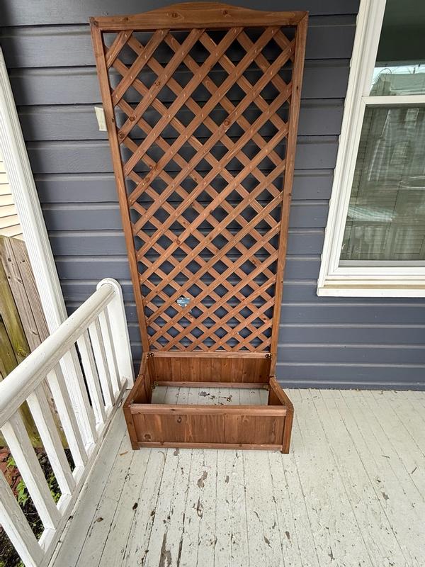 Style Selections 30-in W x 72-in H Walnut Brown Cedar Garden Trellis ...